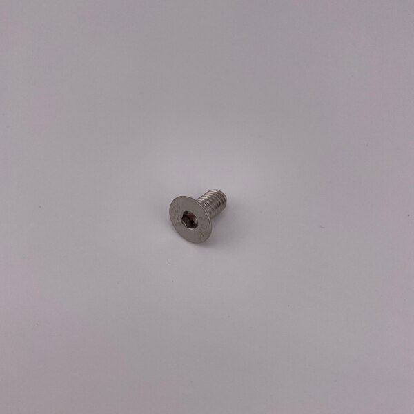 SS Allen Screw M6X12